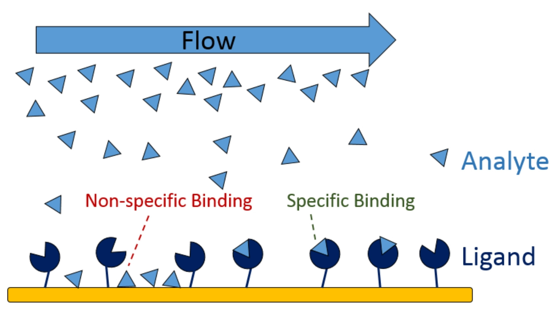 4 Ways To Reduce Non-specific Binding in Surface Plasmon Resonance Experiments - Lab Solutions ...