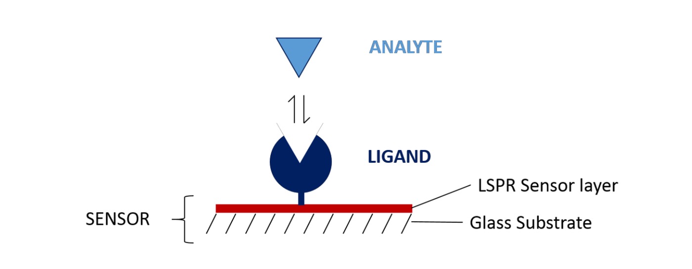 Surface Plasmon Resonance Sensors: A Comprehensive Guide for Scientists ...
