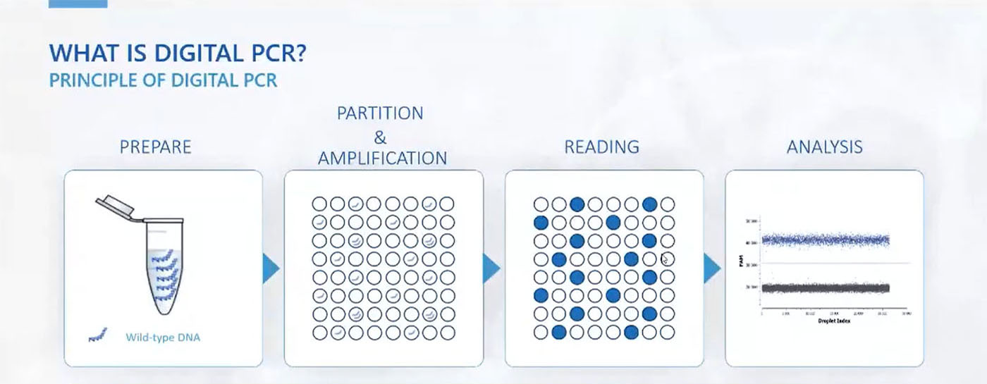 Why Multiplex? Advancing High-Plex Digital PCR Into the Mainstream ...