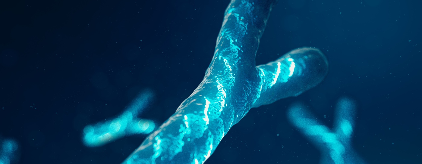 The First Gapless Y Chromosome Completes the Human Genome - With PacBio ...