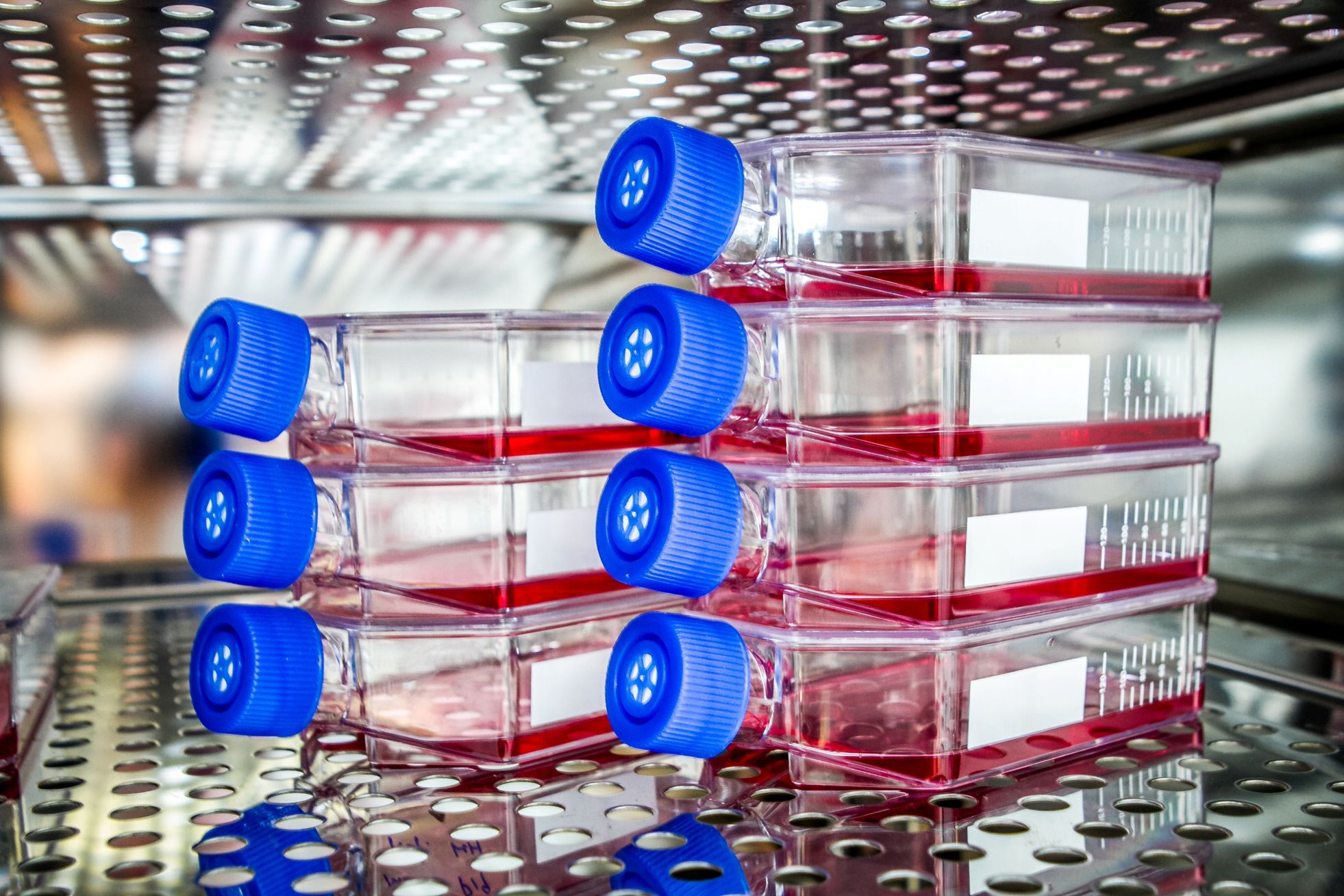 Cell Culture - Lab Solutions by DKSH