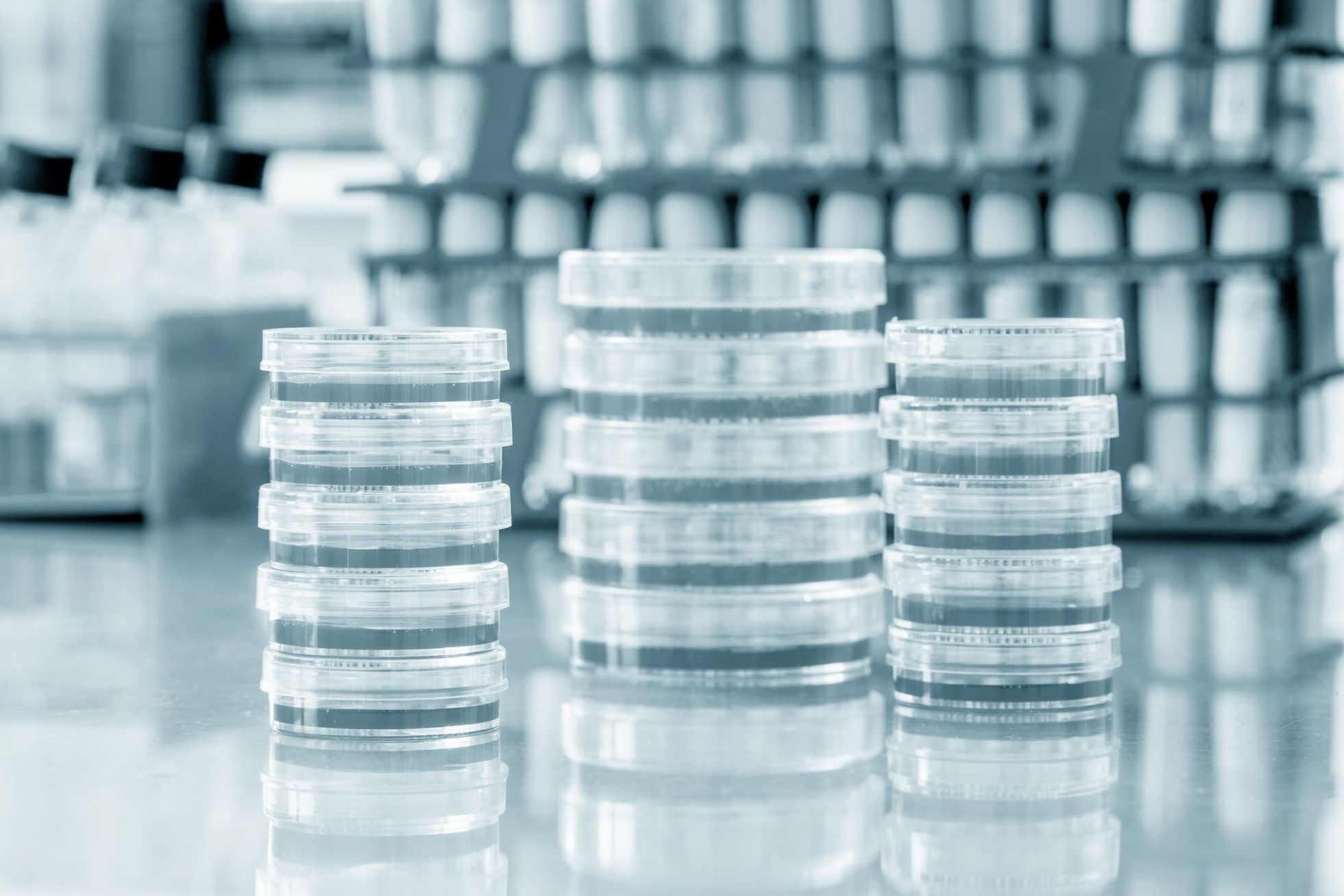 Incubation in Microbiology & Food Testing | DKSH Lab Solutions