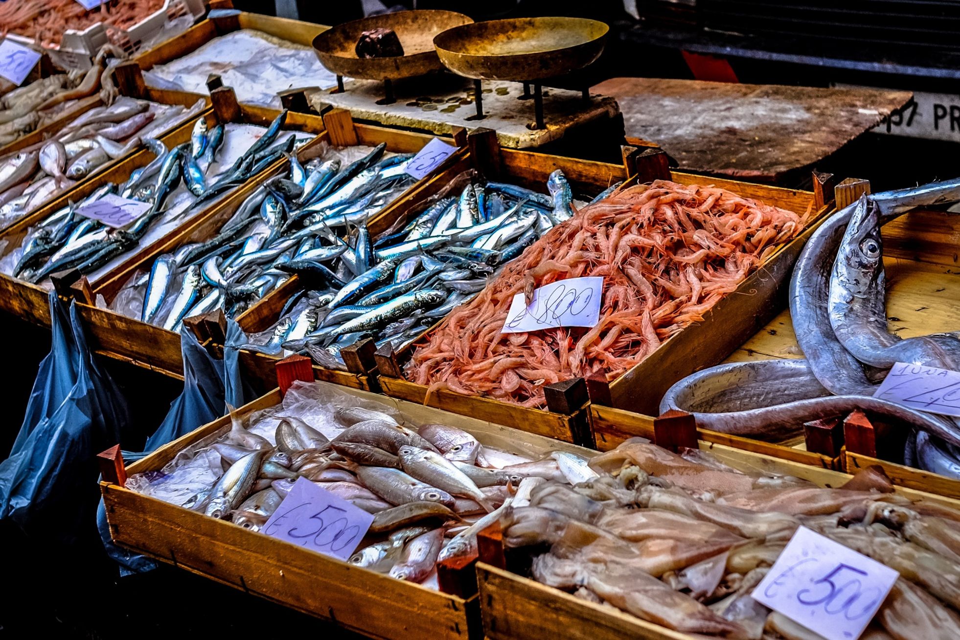 Seafood - Lab Solutions by DKSH