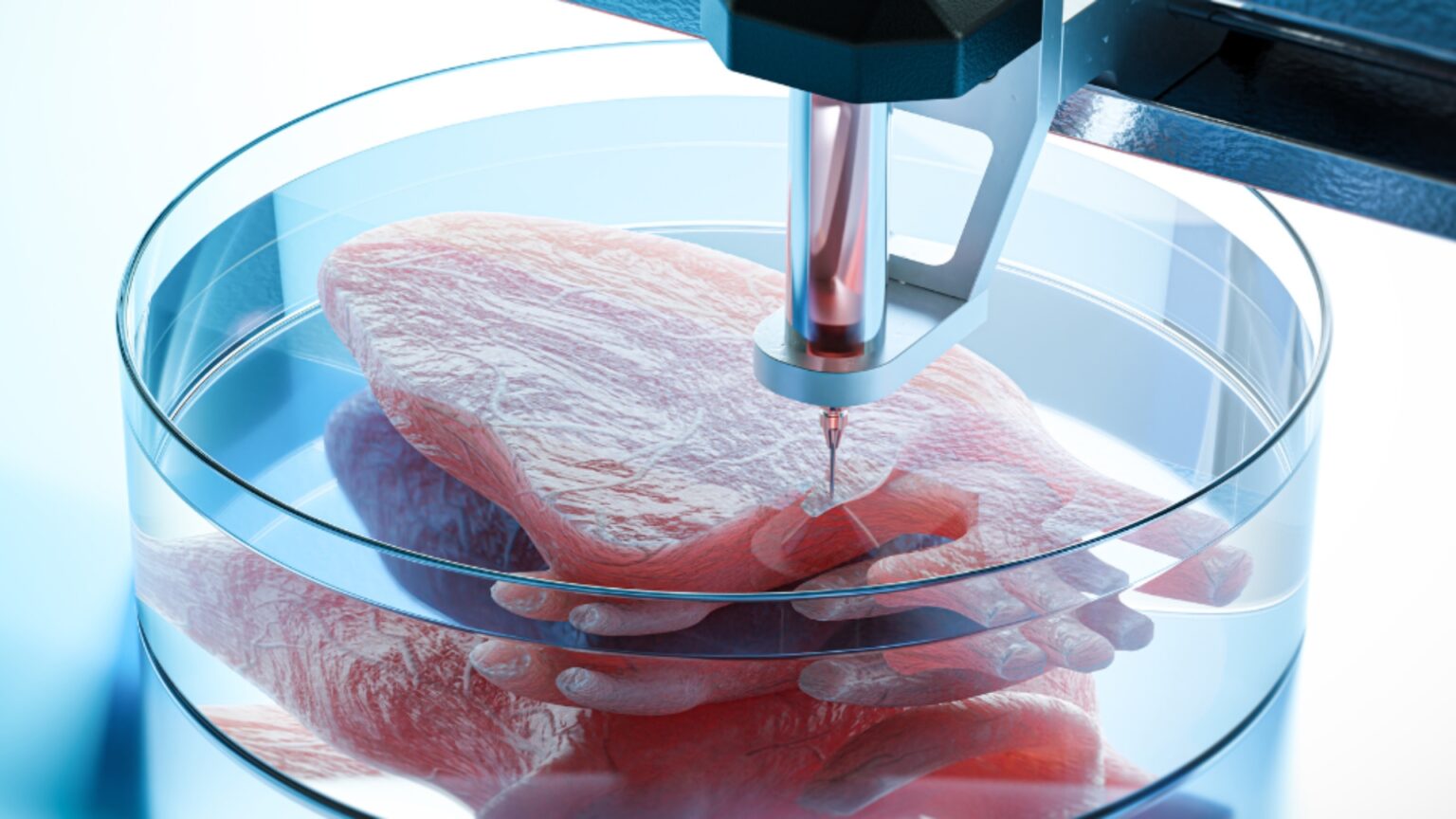 How 3D Bioprinting Is Advancing the Biomedical Industry - Lab Solutions by DKSH